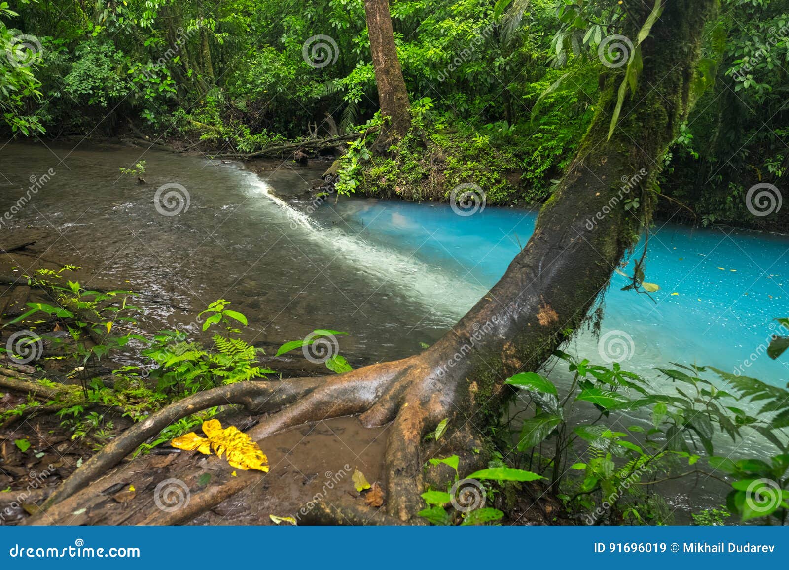 Two rivers in Costa Rica stock image. Image of exotic - 91696019