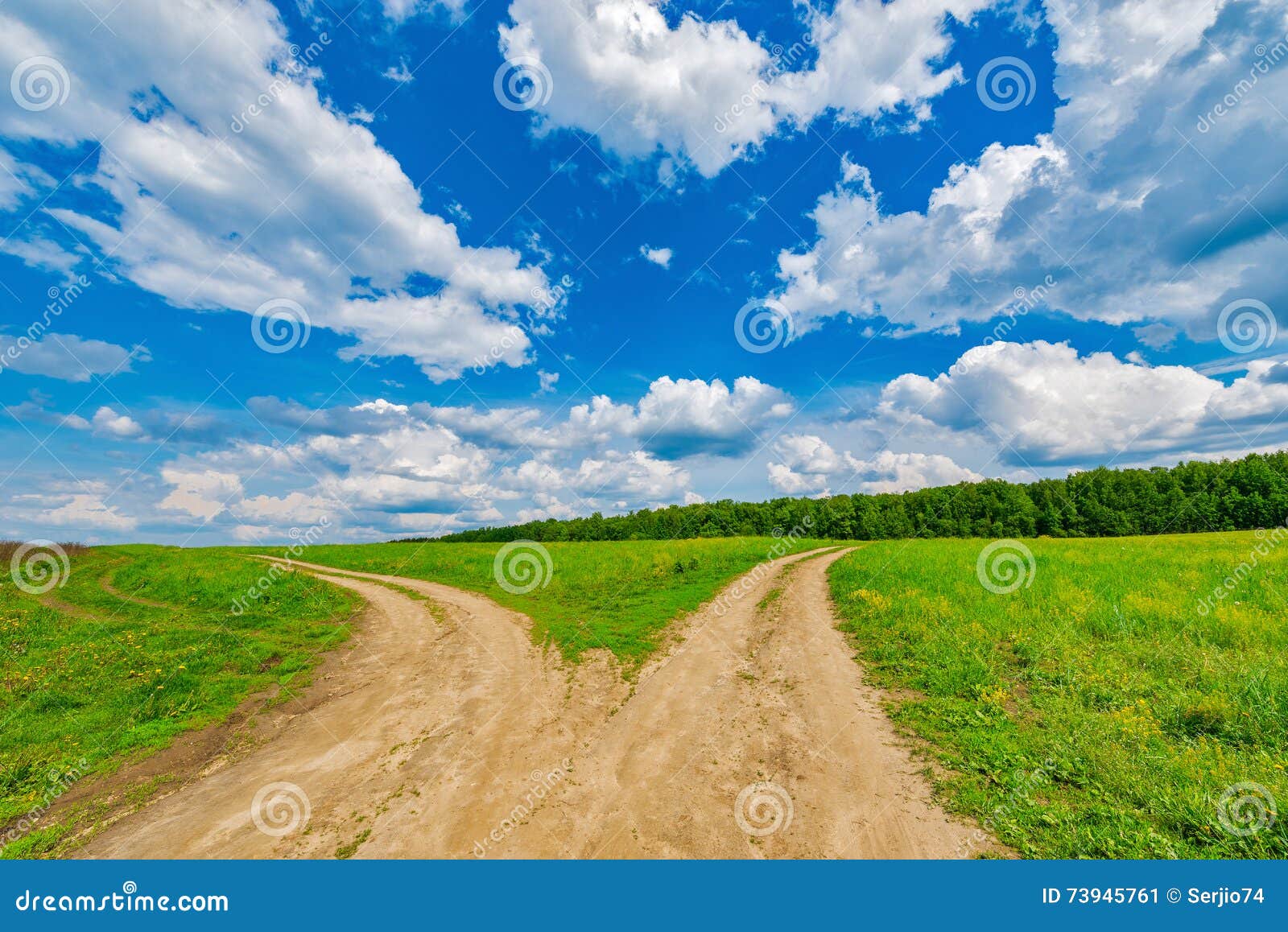 Two roads junction. stock image. Image of agriculture - 73945761