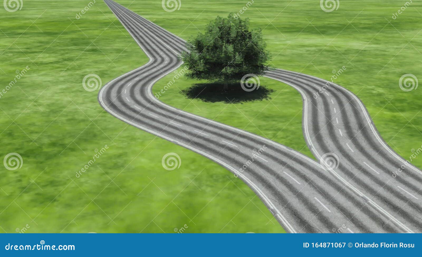 Two Roads Separated by a Tree Stock Illustration - Illustration of tree ...