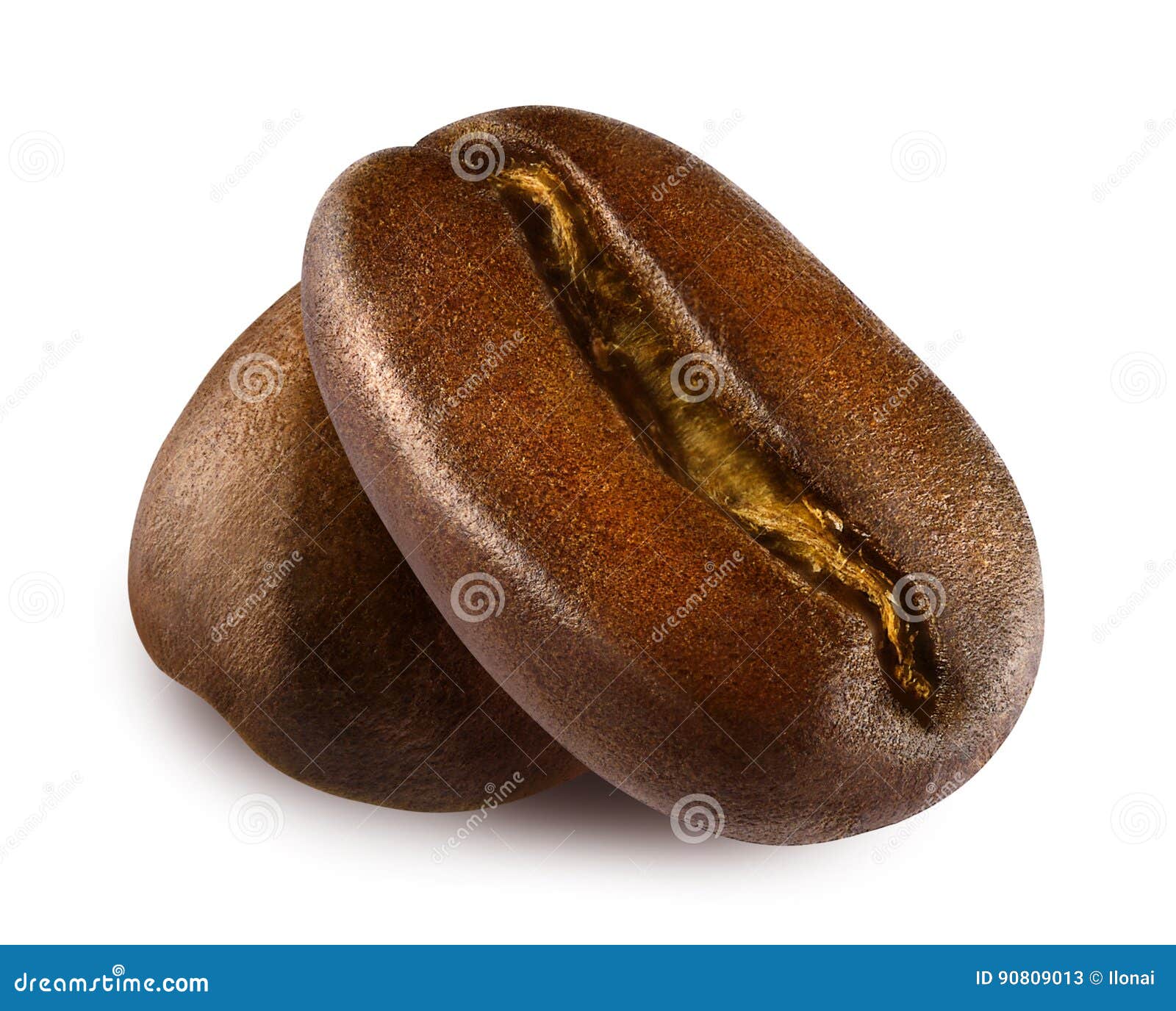 Two roasted coffee bean. stock image. Image of black - 90809013