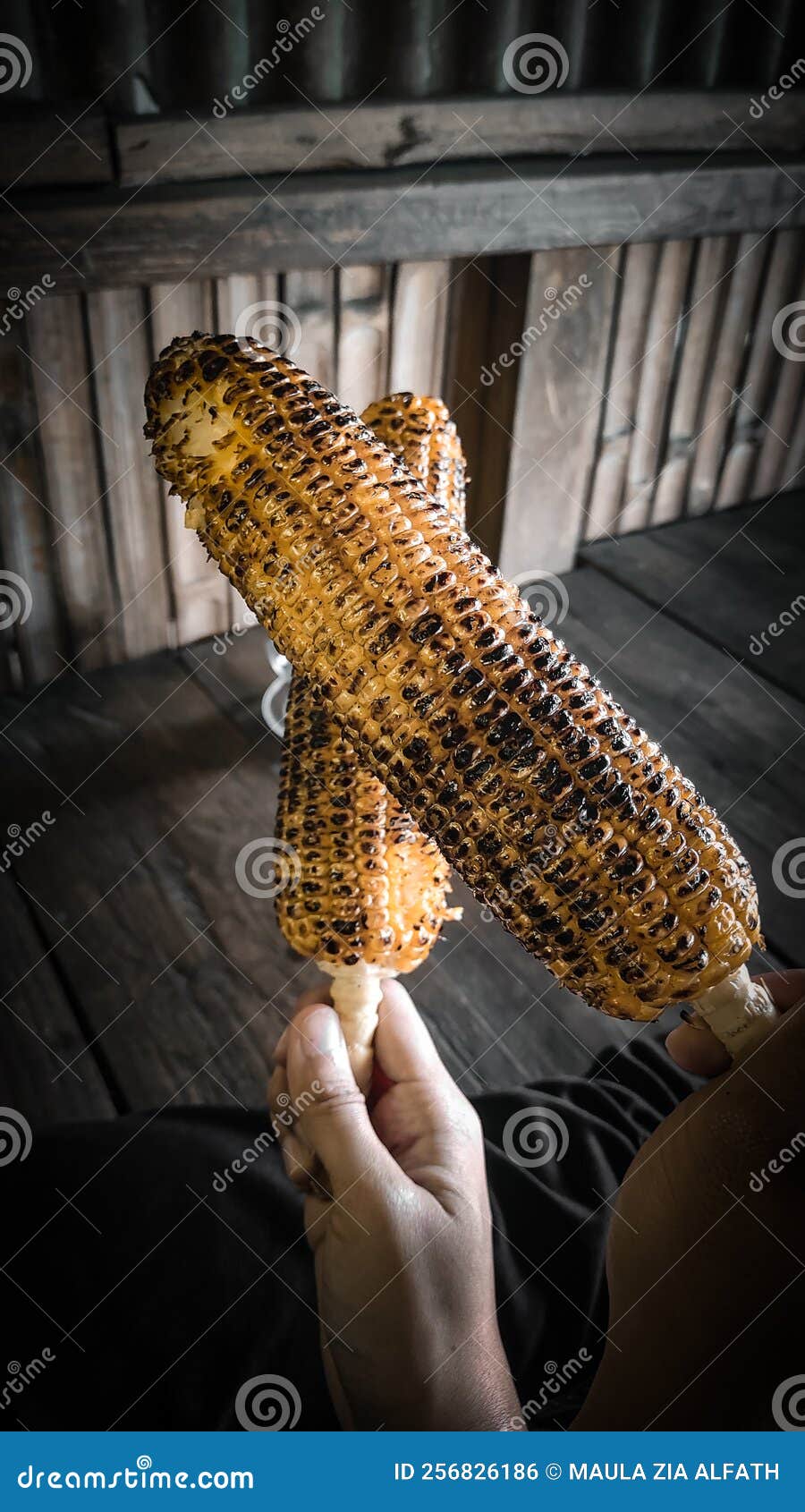 Two roasted corn stock photo. Image of roasted, couples - 256826186