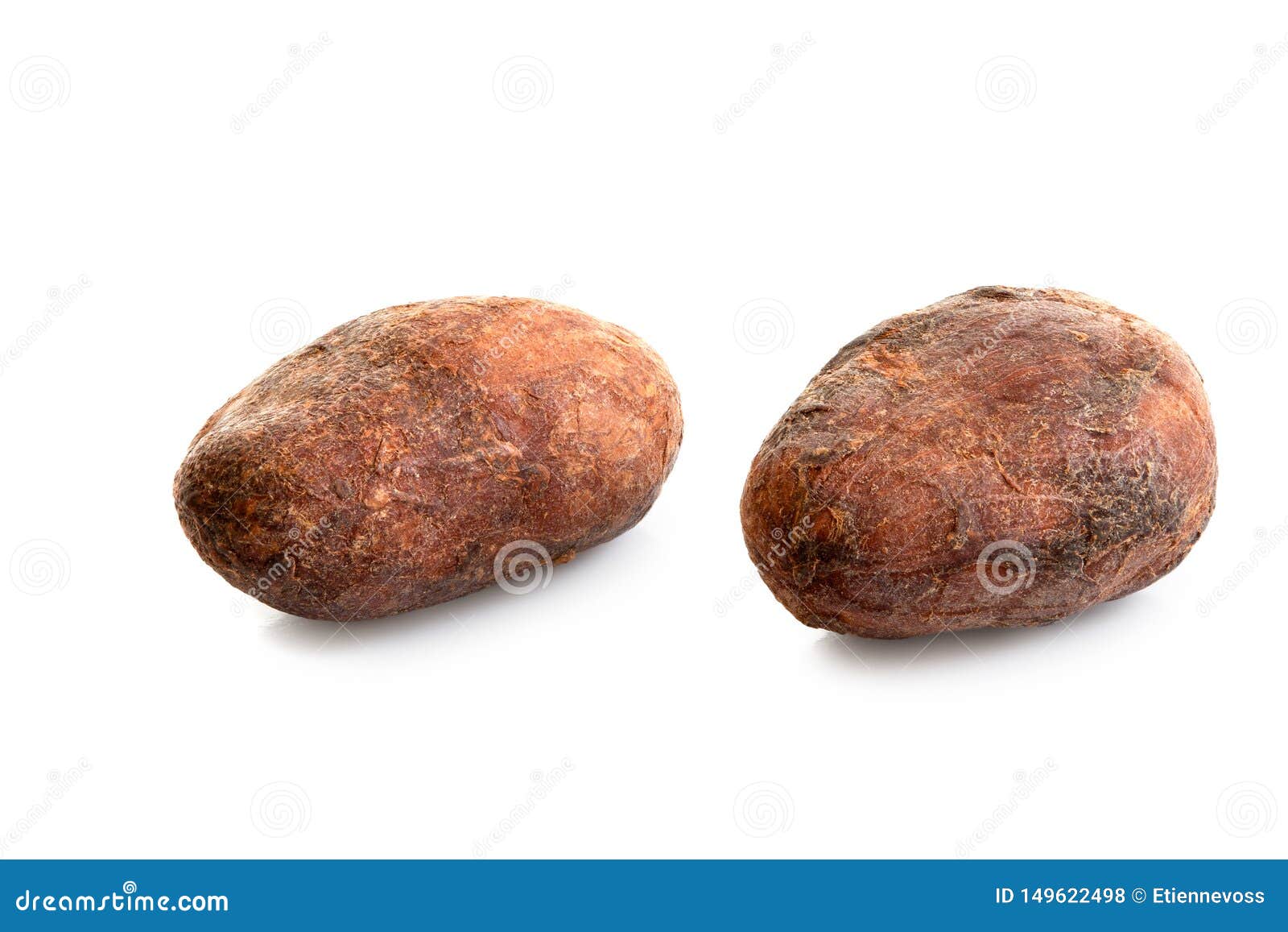 Roasted Unpeeled Cocoa Beans In A Brown Wooden Bowl Next To A Pile Of ...