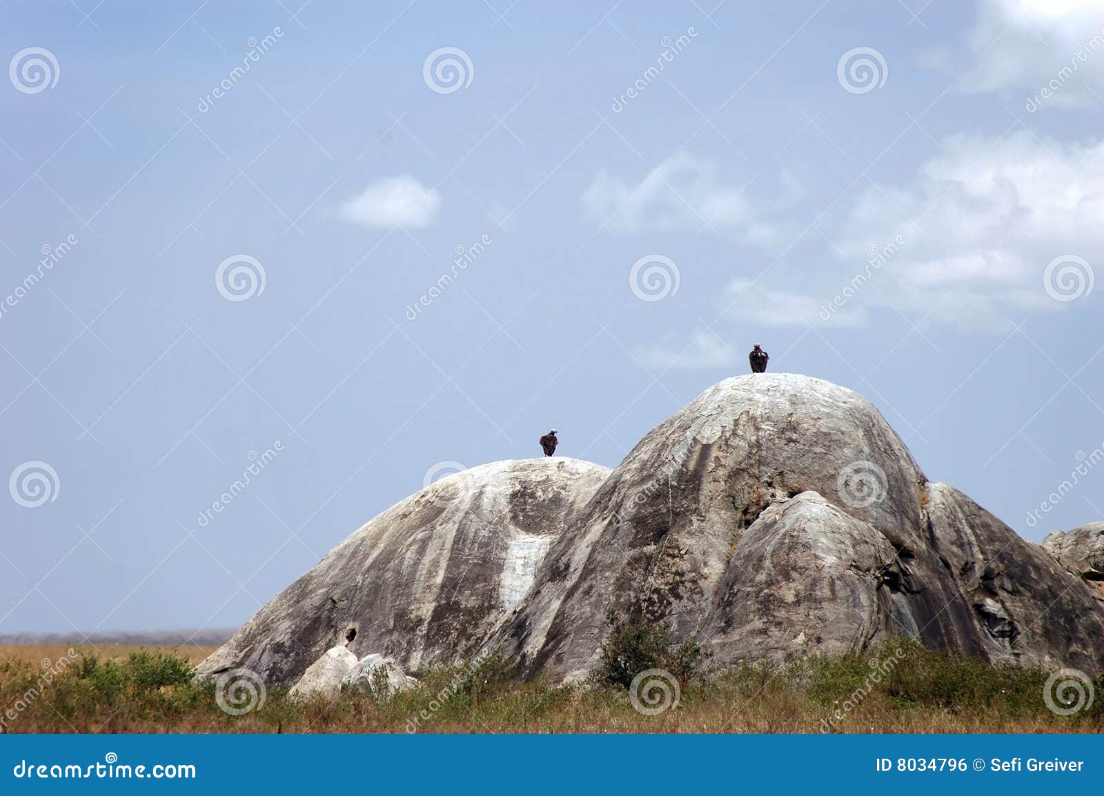 Two Rocks in the Wilderness of the Serengeti Stock Photo - Image of ...
