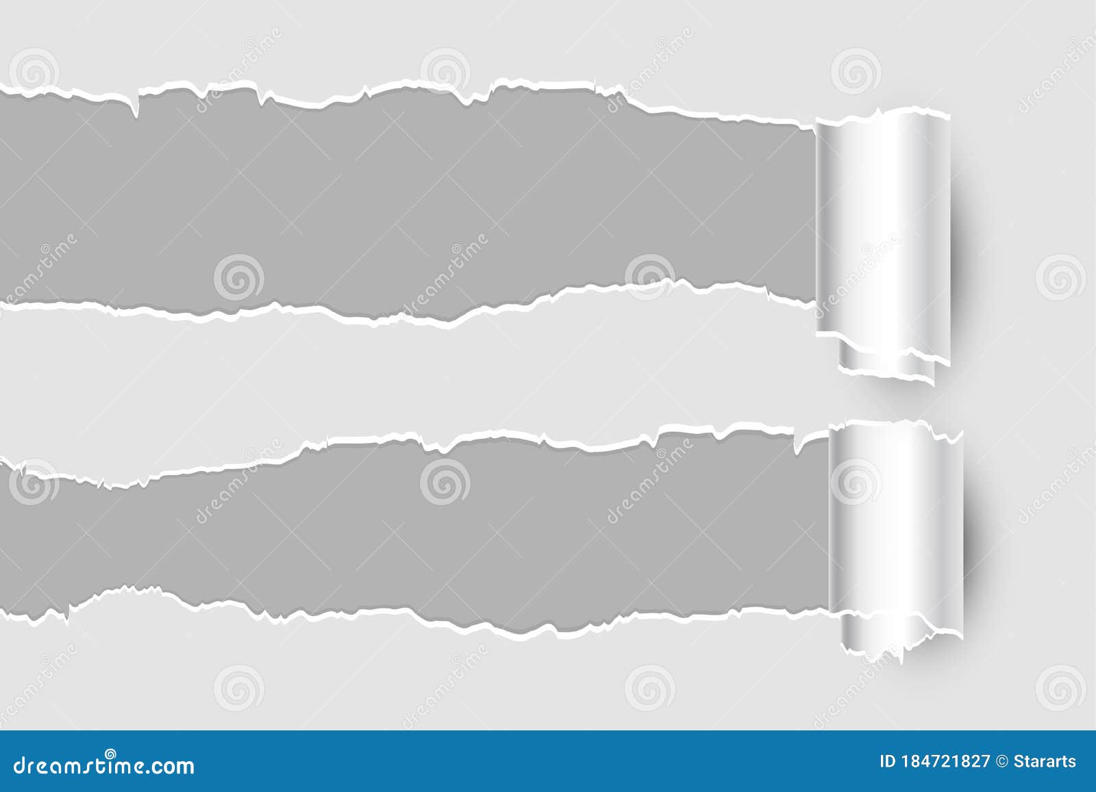 Two Rolling Torn Ripped Paper Sheet Page Stock Vector - Illustration of ...