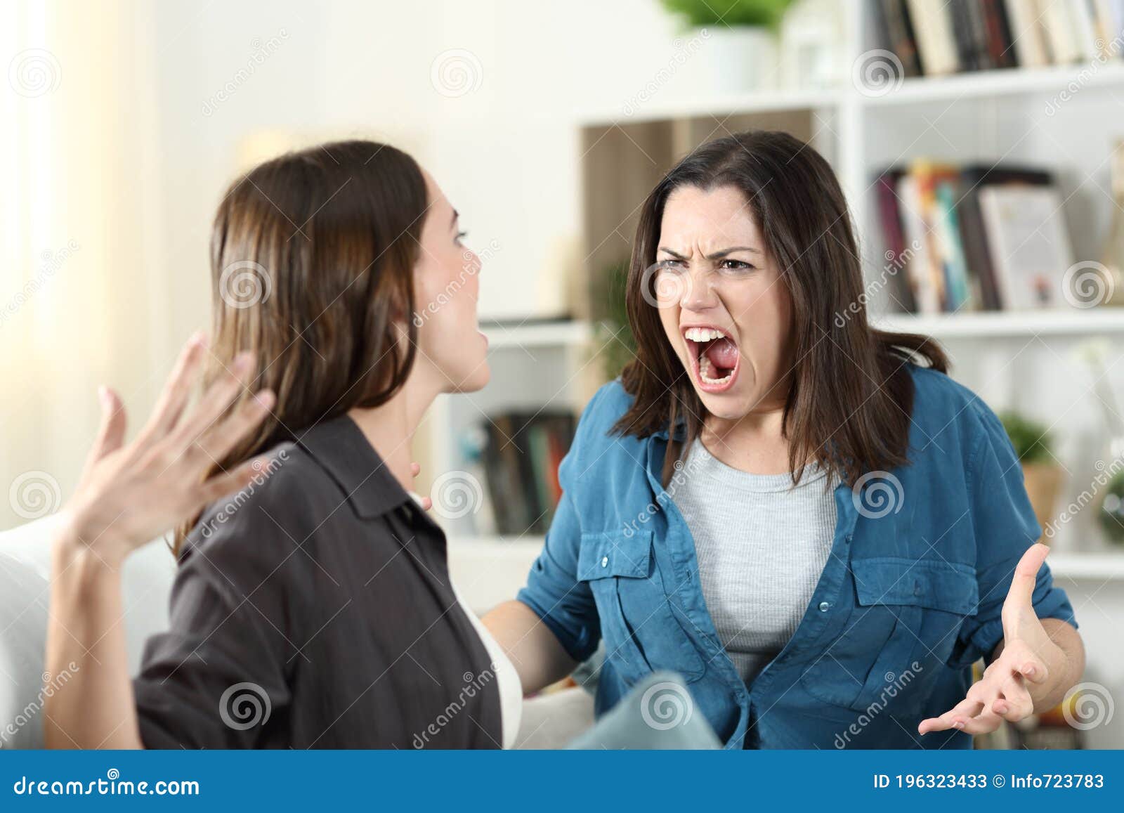 Two Roommates Arguing and Shouting at Home Stock Image - Image of ...