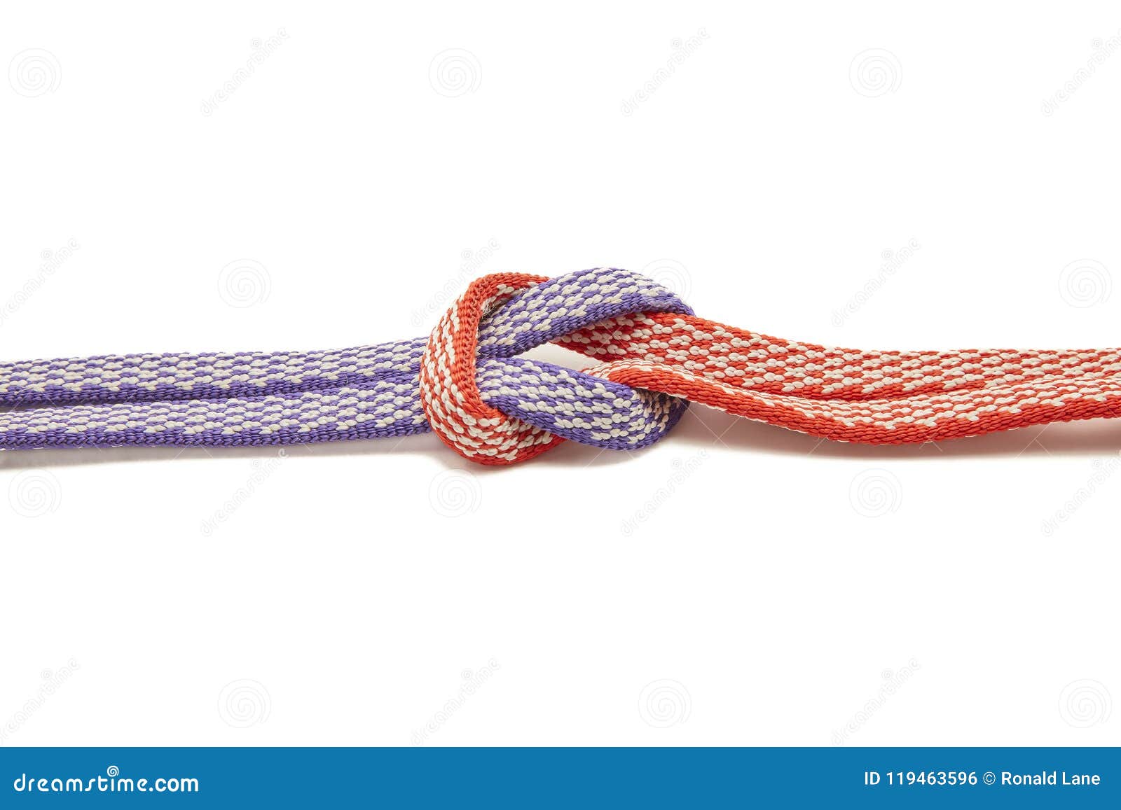 Two Ropes, Red and Purple Tied in a Knot Stock Photo - Image of lace ...