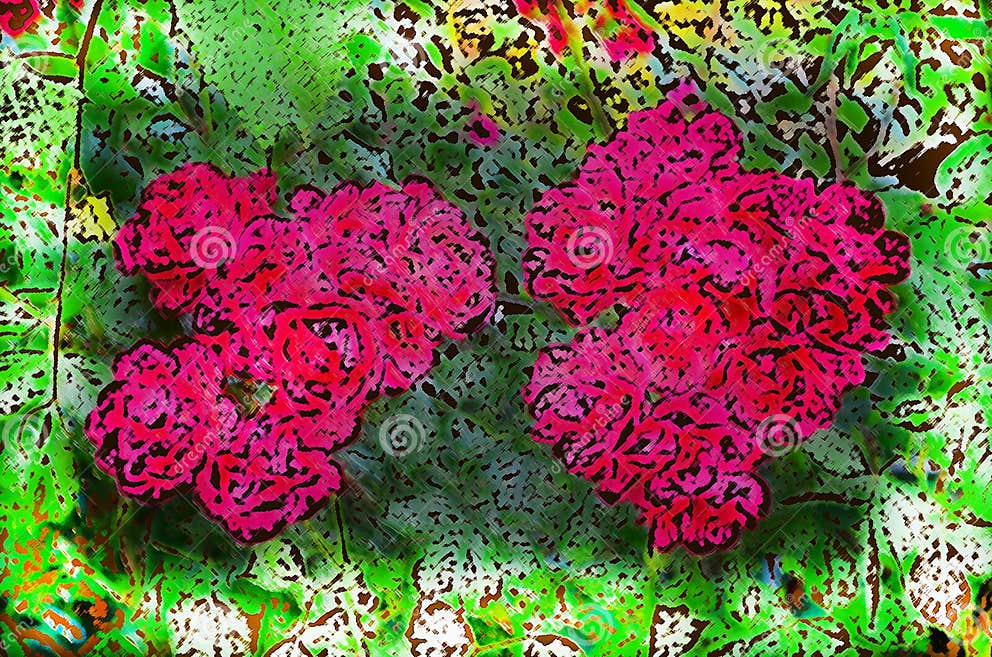 Two Rose Inflorescences in Computer Processing. Stock Photo - Image of ...
