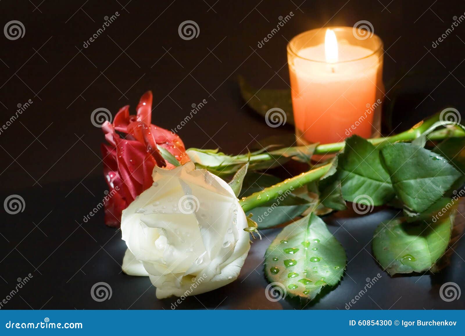 Two roses and candle stock photo. Image of flowers, leaves - 60854300