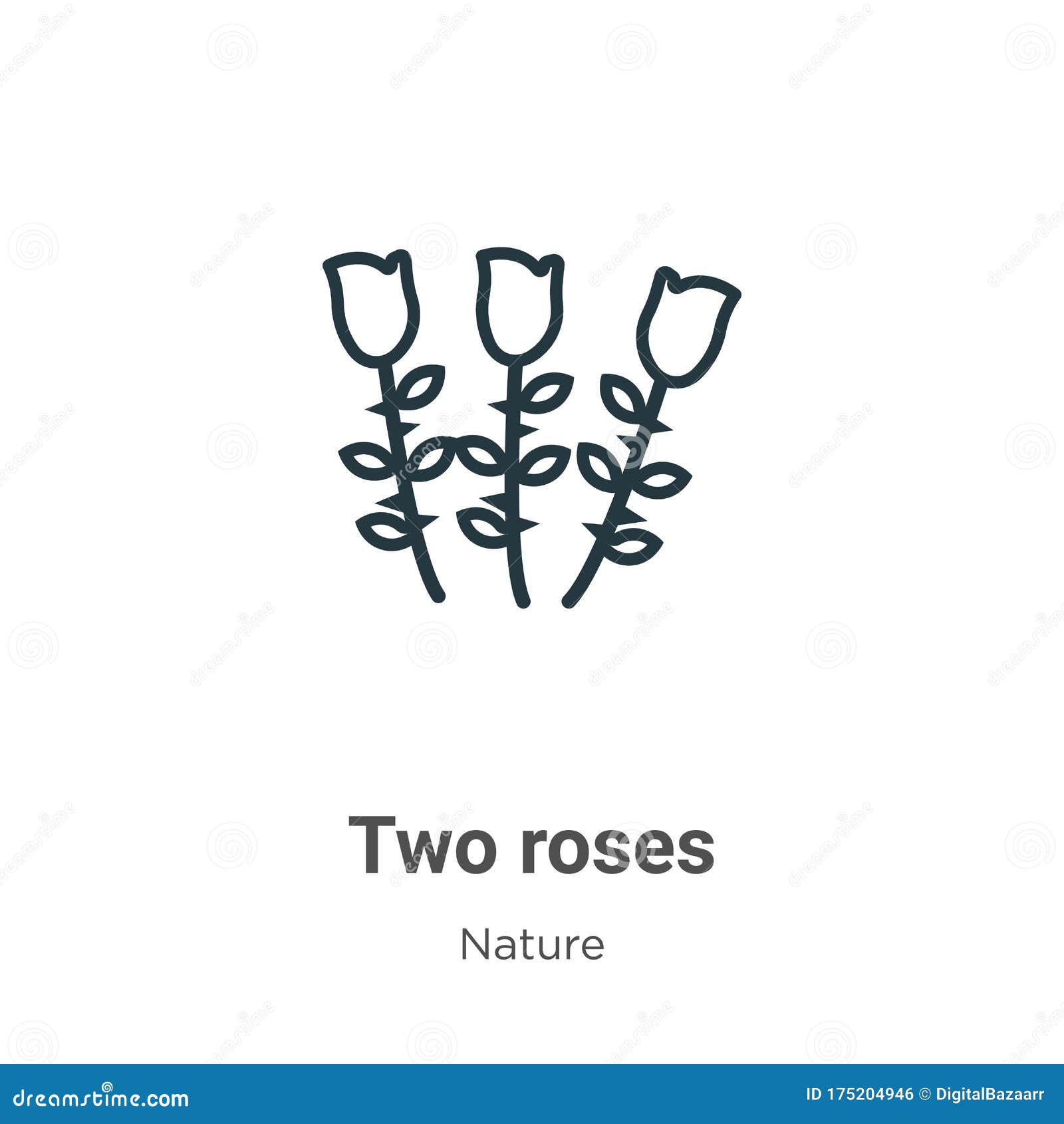 Two Roses Outline, Silhouette, Vector Illustration, Black And White ...