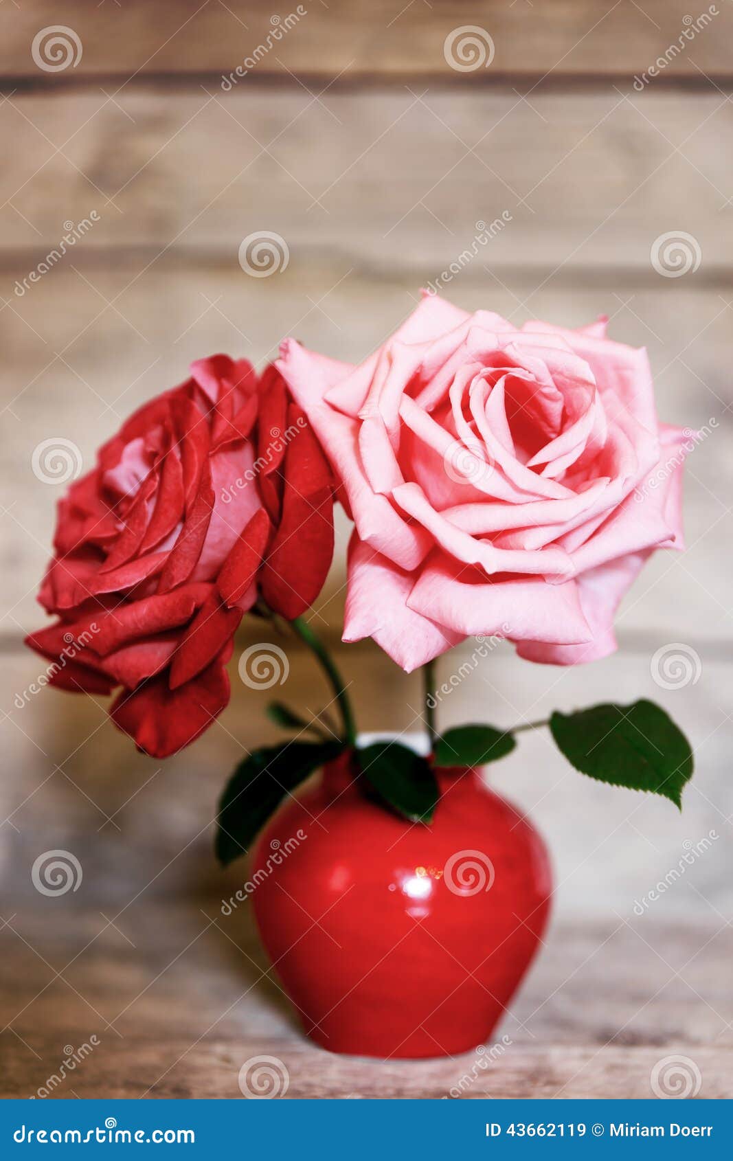 Two Roses in Red Vase on Aged Wooden Background Stock Image - Image of ...
