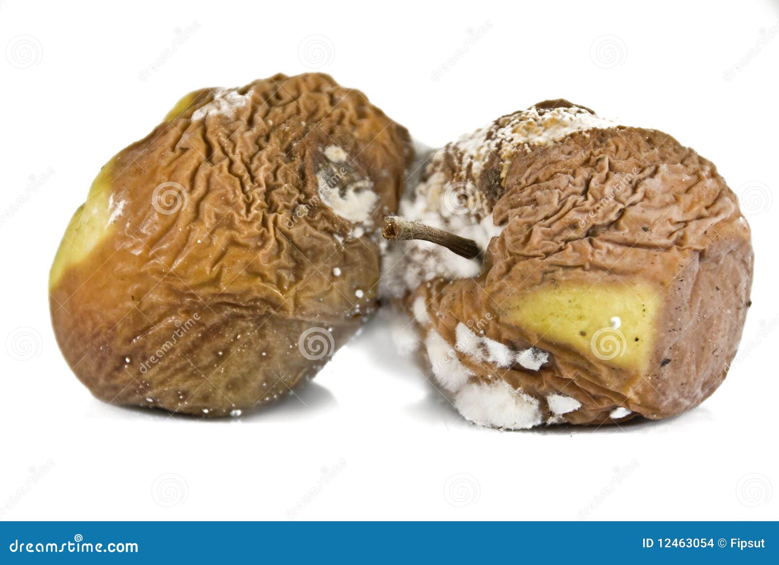 219 Rotten Foods Photos - Free & Royalty-Free Stock Photos from Dreamstime