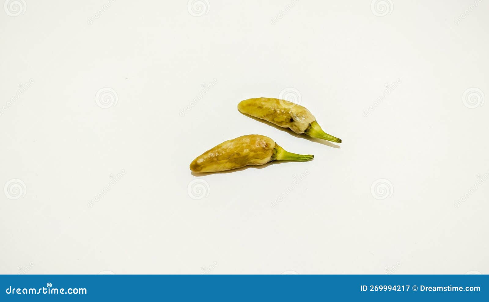 Two Rotten Green Chilies on White Background Stock Image - Image of ...