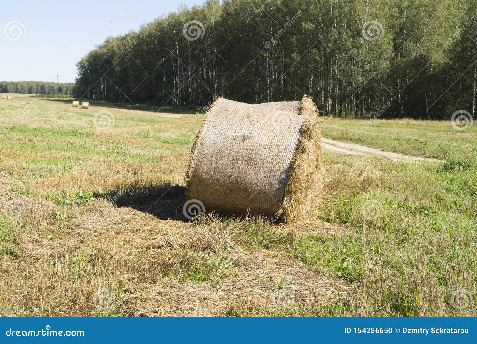 Two Round Haystacks in the Film Stock Photo - Image of landscape ...