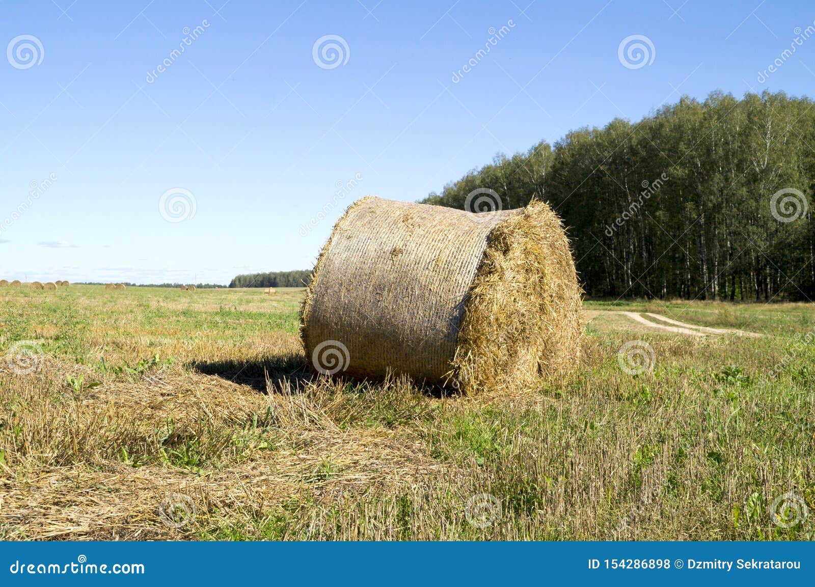 Two Round Haystacks in the Film Stock Photo - Image of harvest ...