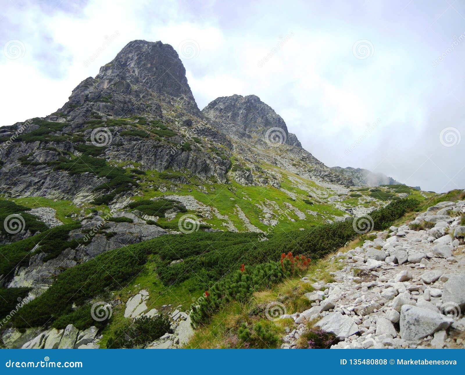 Two Round Mountain Peaks in Slovakia Stock Photo - Image of bushes ...