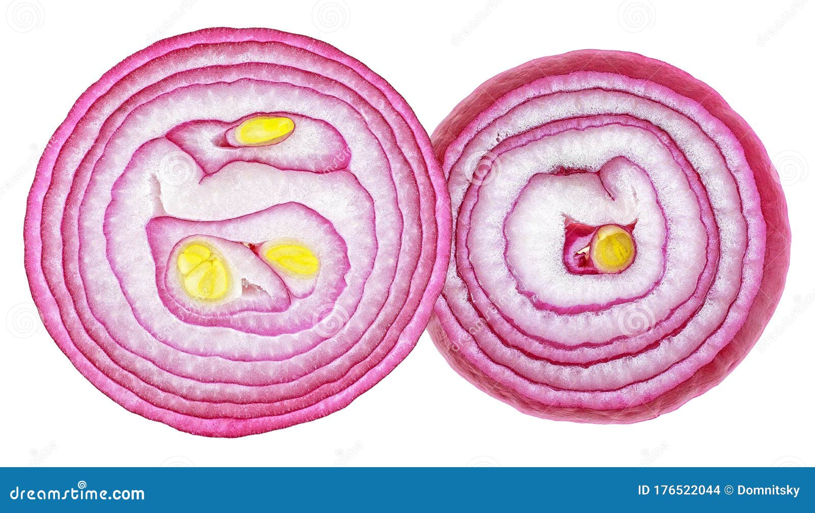 Two Round Slice of Red Onion Isolated on White Background, Top View ...