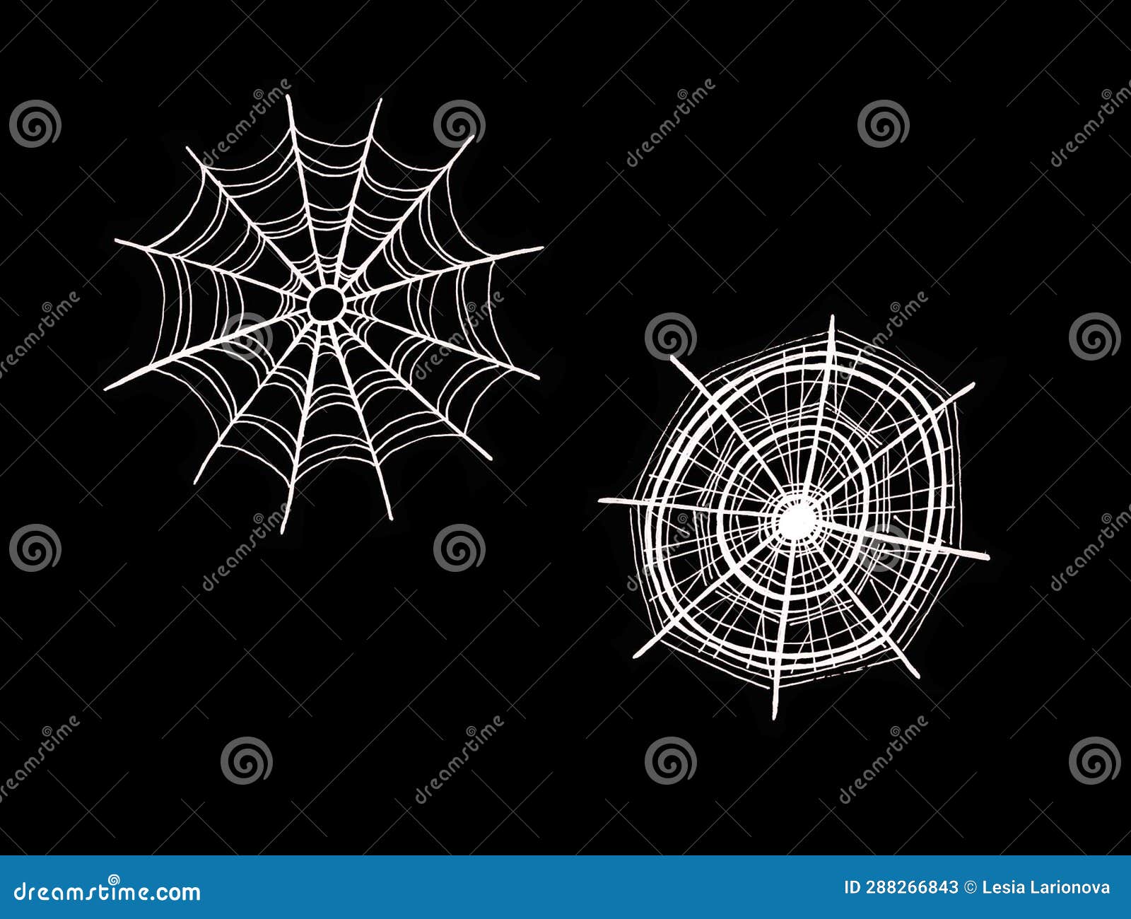 Two Round Webs. White Lines. Isolated on Black Background. Stock Image ...