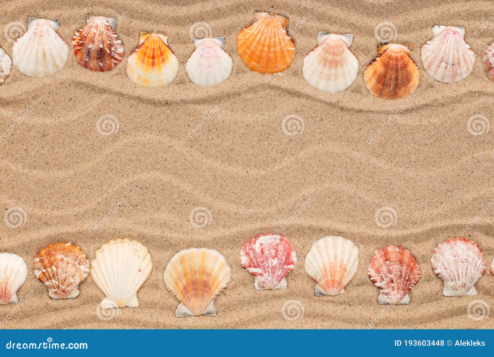 Two Rows of Seashells Lying on the Sand. Beautiful Frame Made of ...