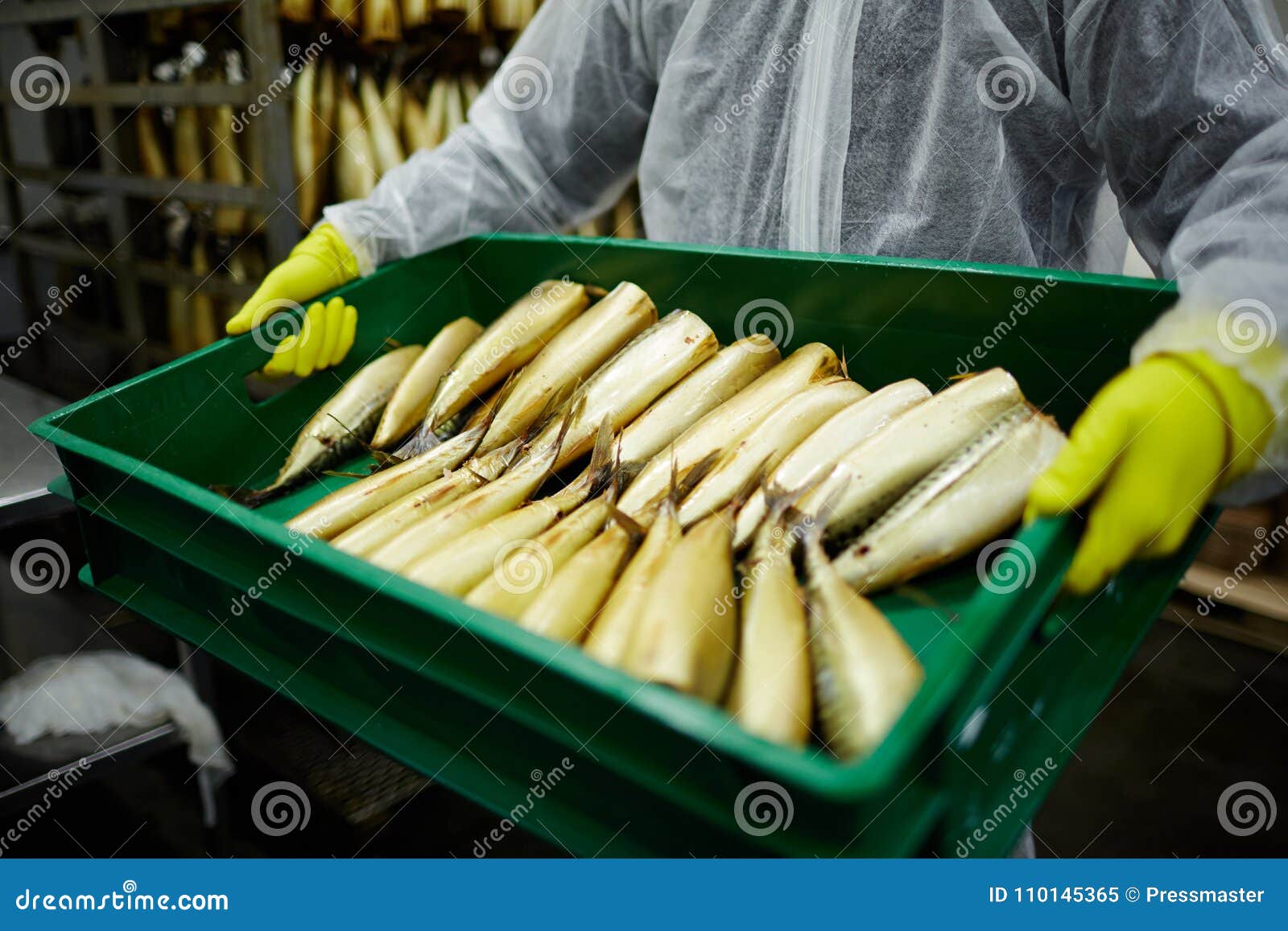 Carrying box with fish stock image. Image of holding - 110145365