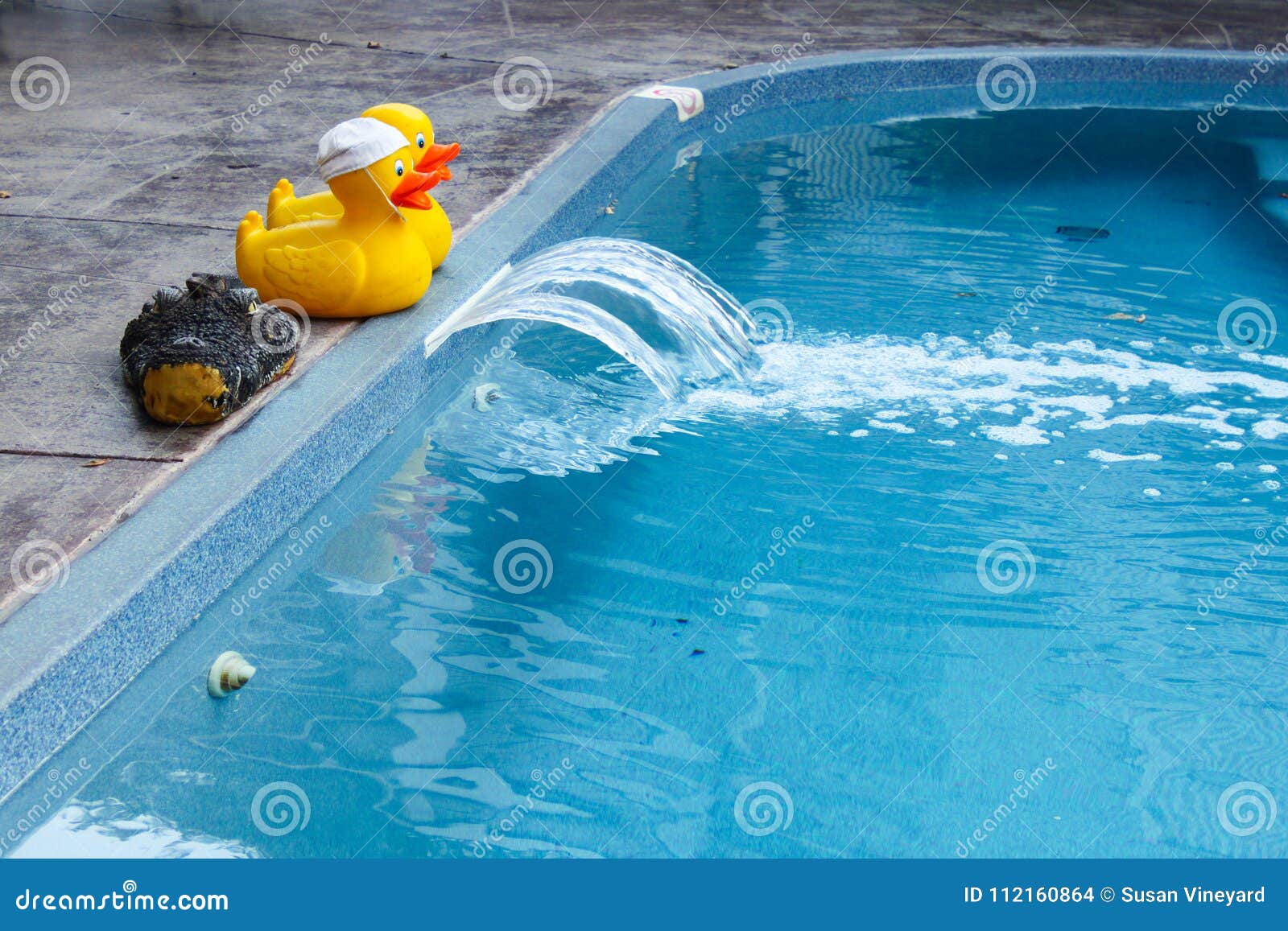 Two Rubber Ducks and a Rubber Crocodile Head at Edge of Swimming Pool ...
