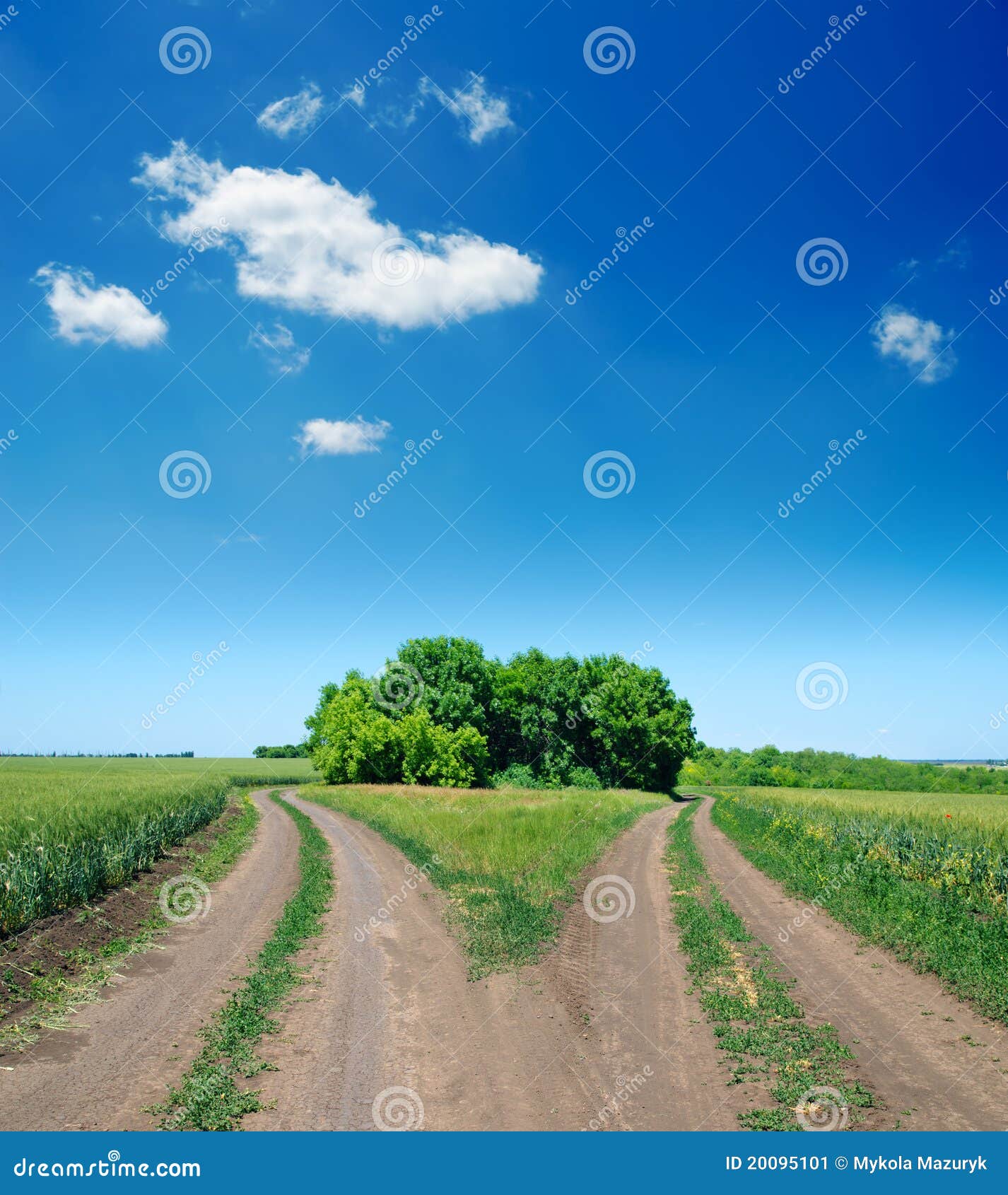 Two rural road stock image. Image of horizon, nature - 20095101