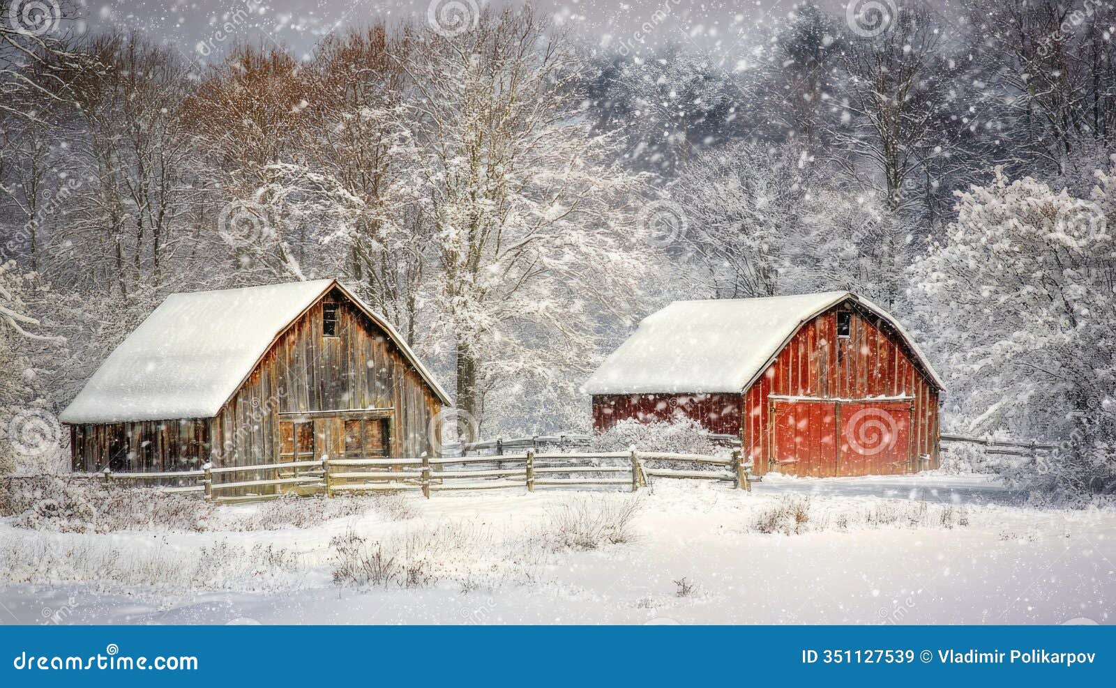 Two Rustic Red Barns Surrounded by Snow, Perfect for Winter Scenes or ...