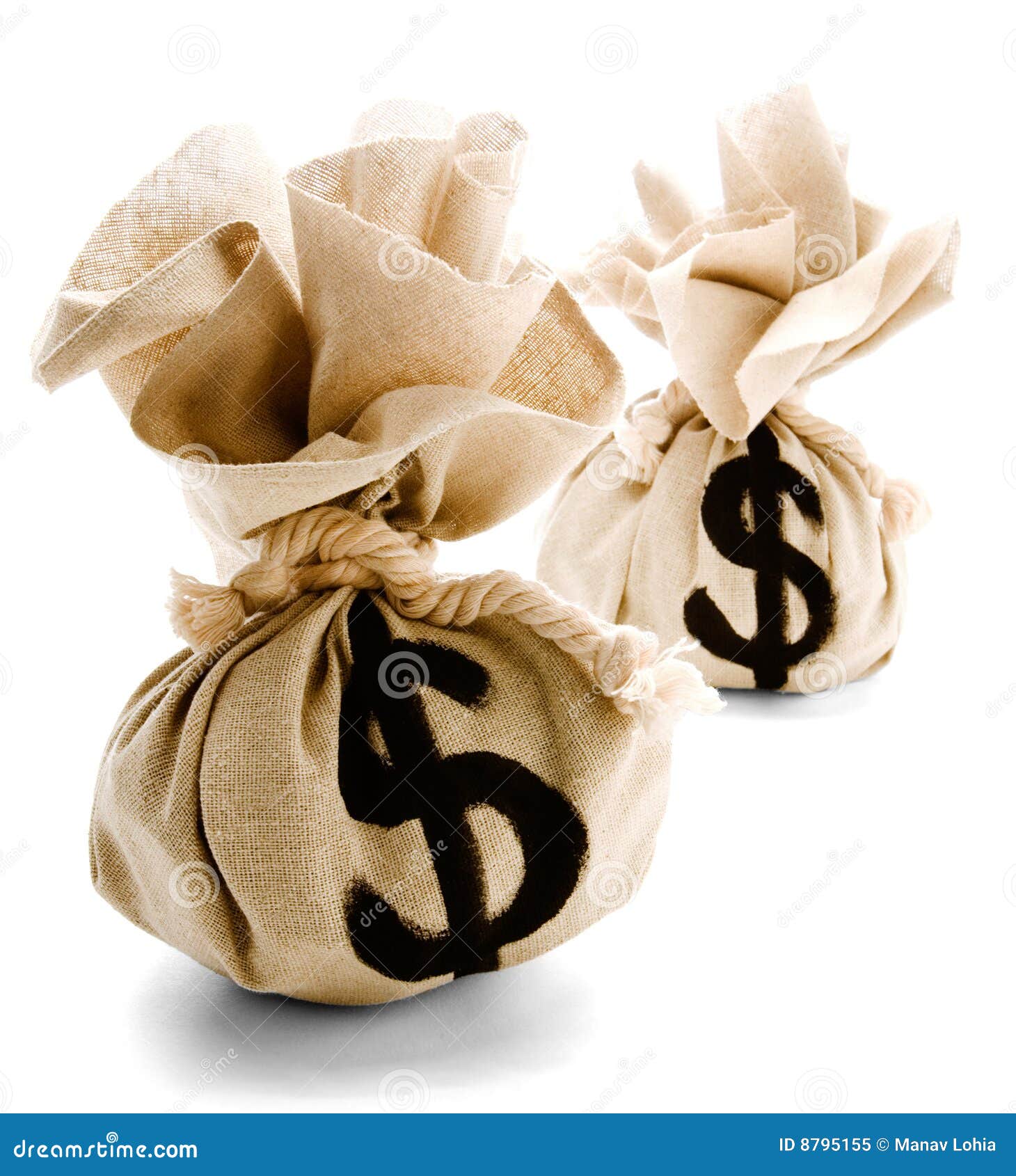 Two Sacks with Dollar Sign stock image. Image of life - 8795155