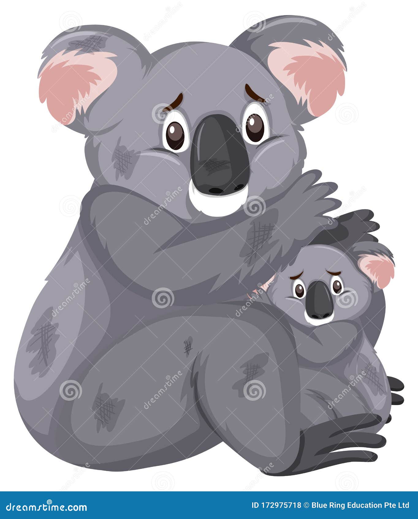 Two Sad Koalas on White Background Stock Vector - Illustration of ...