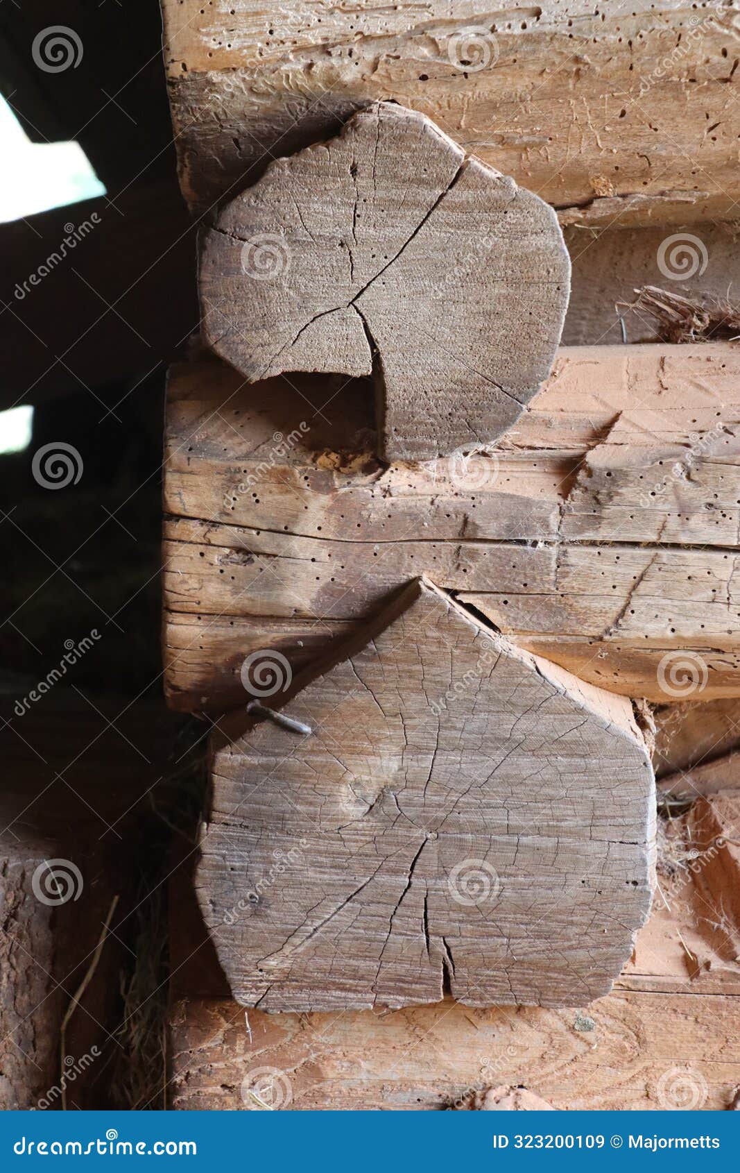 Two Saddle Notch Ends of Log Cabin Stock Image - Image of carving ...