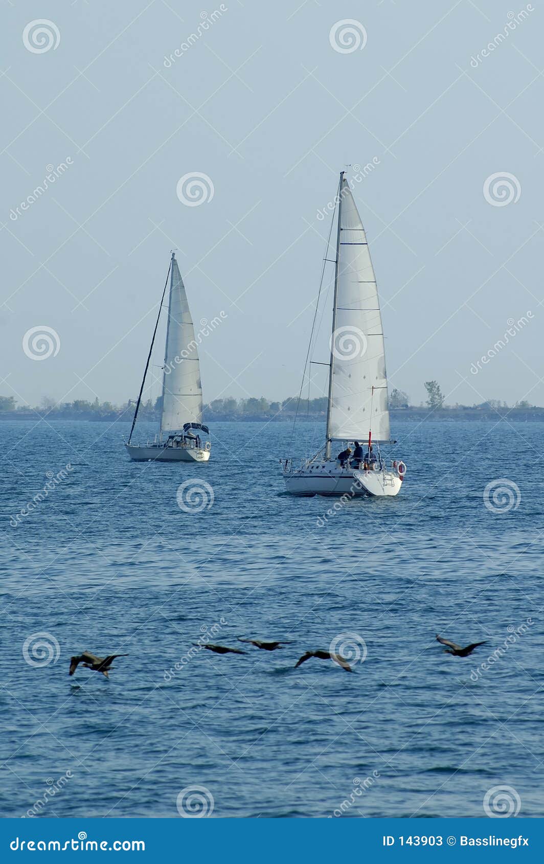 Two Sailboats & Birds stock image. Image of summer - 143903