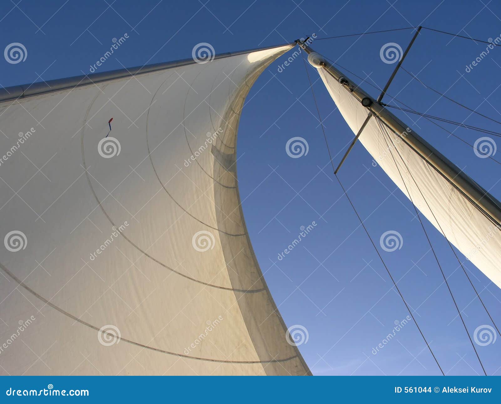 Two Sails: Genoa and Mainsail Stock Photo - Image of blue, boating: 561044