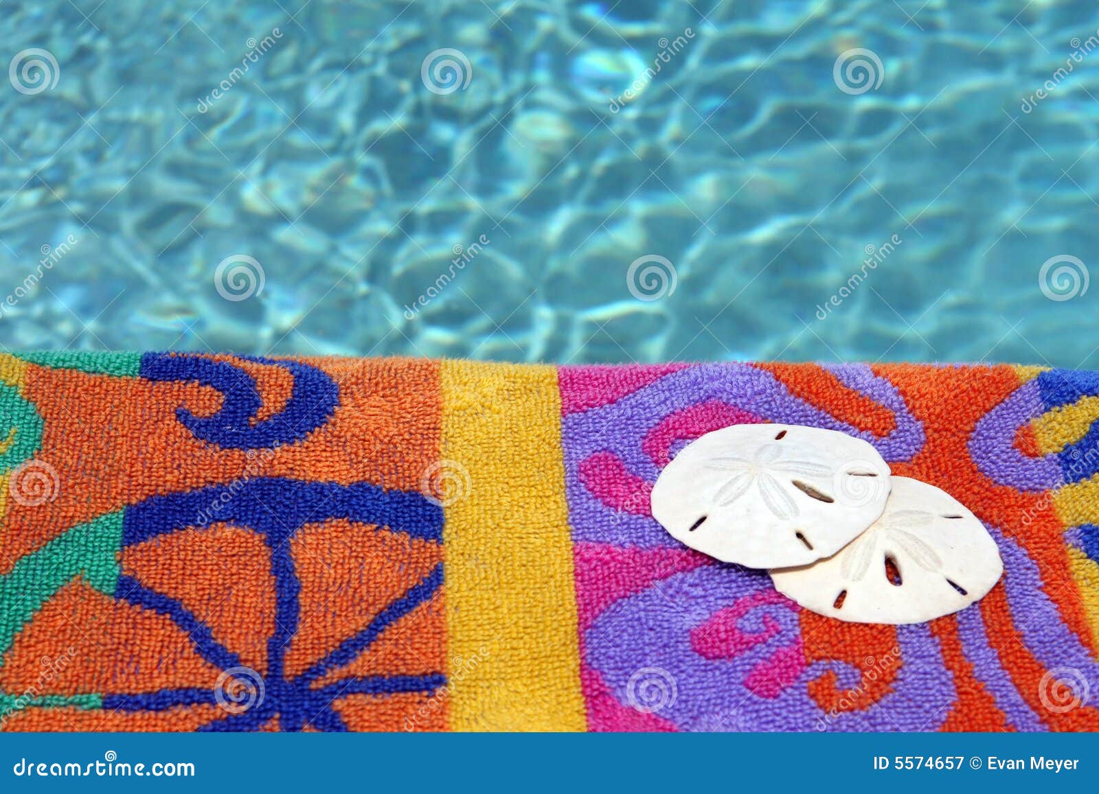 Two Sand Dollars Against Beach Towel and Water Stock Image - Image of ...
