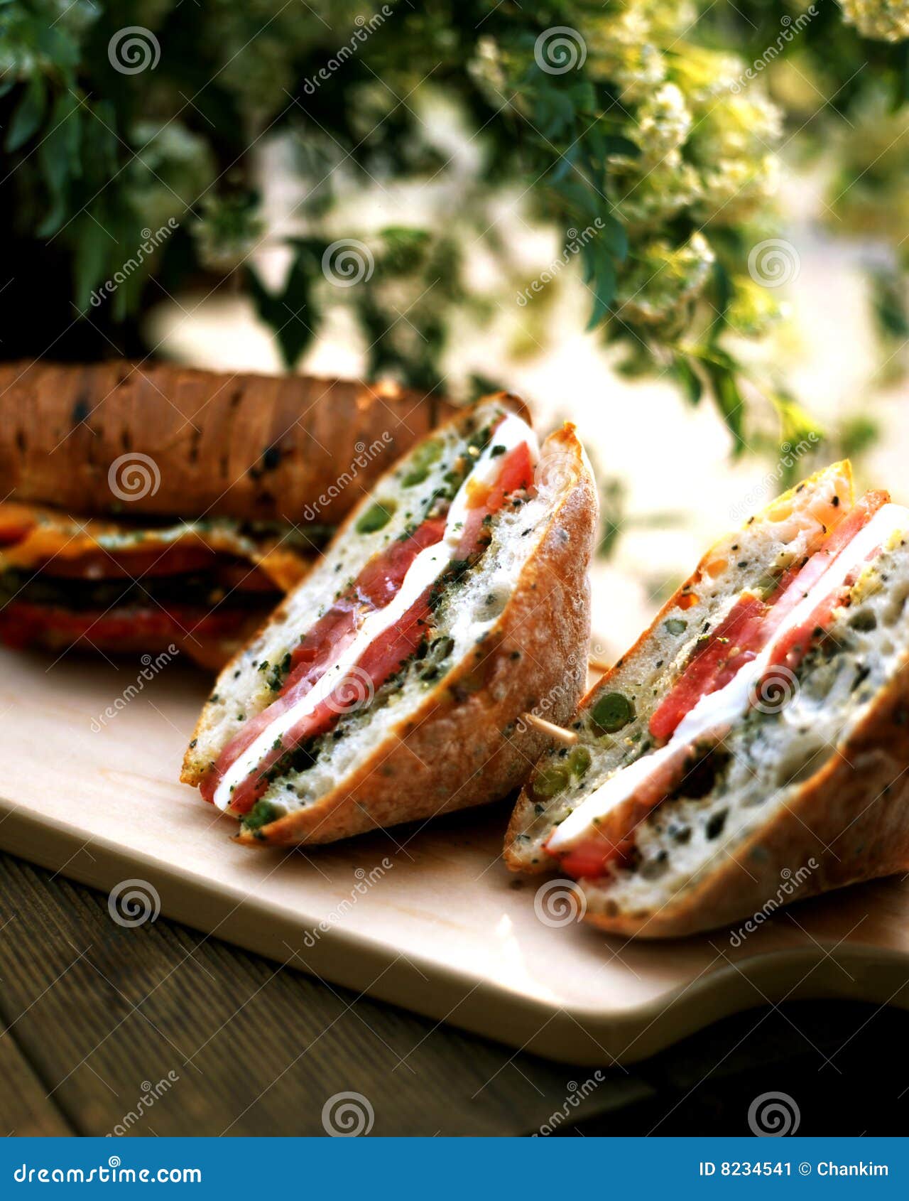 Two Sandwiches on Picnic Table Stock Image - Image of bread, spring ...
