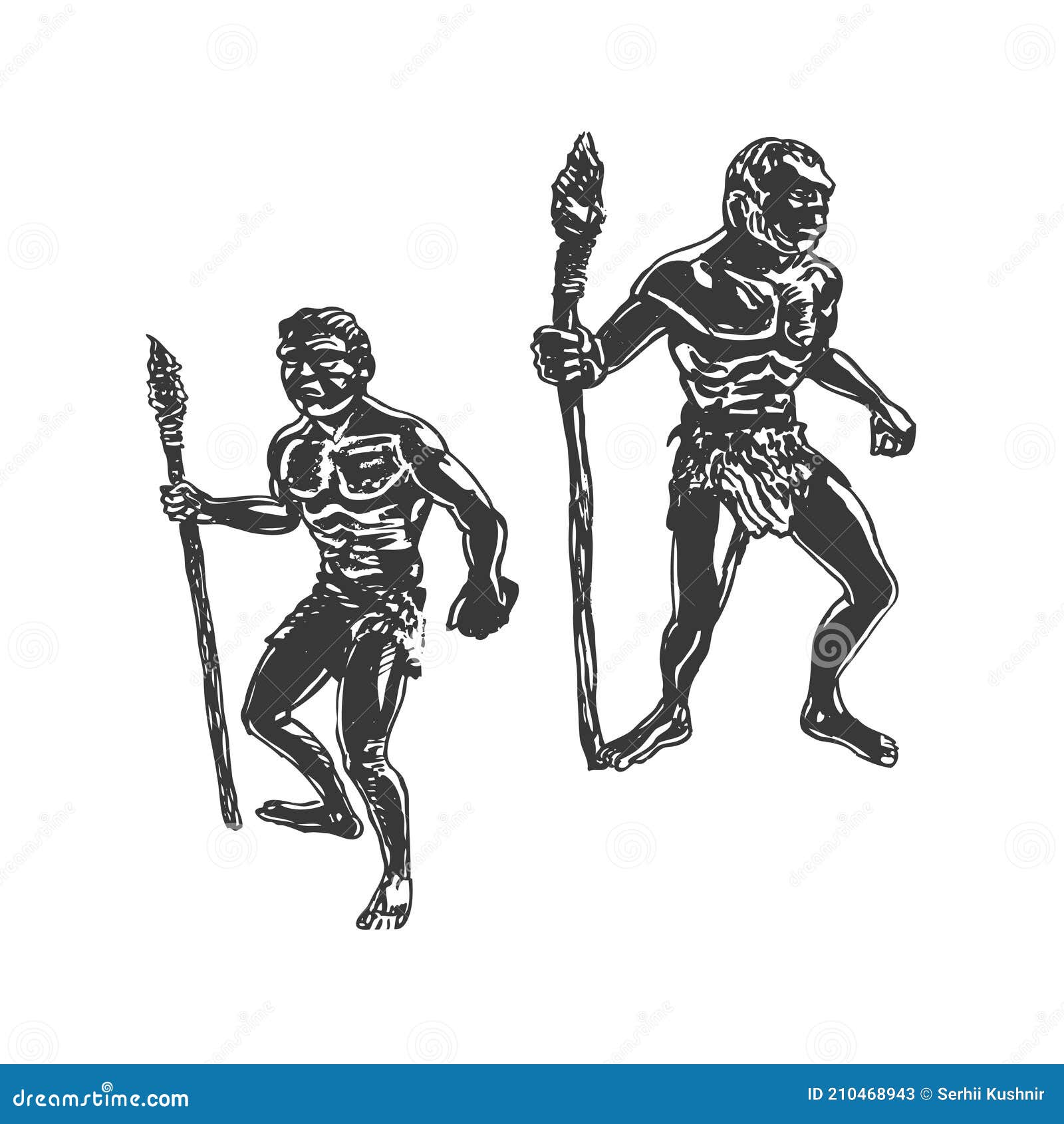 Sketch Of A Neanderthal Skull Stock Photography | CartoonDealer.com ...