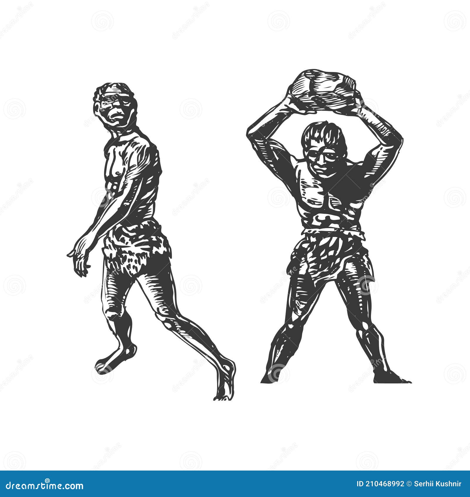 Sketch Of A Neanderthal Skull Stock Photography | CartoonDealer.com ...