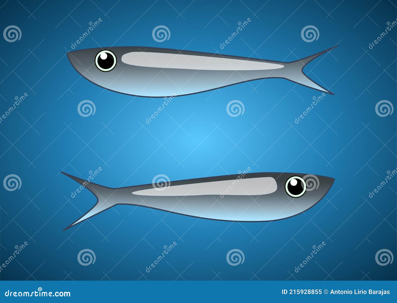 Two Silver Ornamental Sardines. Vector Illustration Stock Vector ...