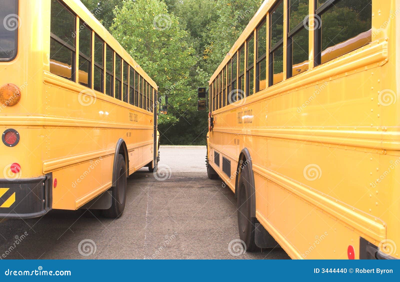 Two School Buses stock photo. Image of empty, parked, transport - 3444440