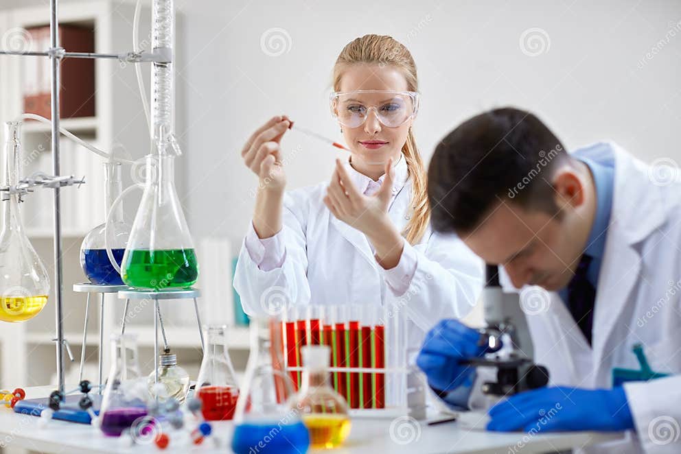 Two Science Technicians at Work in the Laboratory Stock Image - Image ...