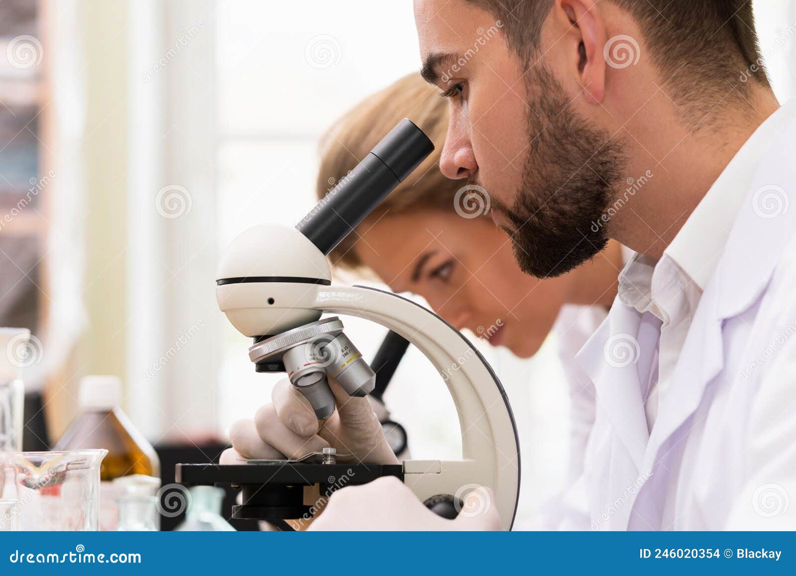 Two Scientist Colleagues are Using Microscopes during Research in a ...