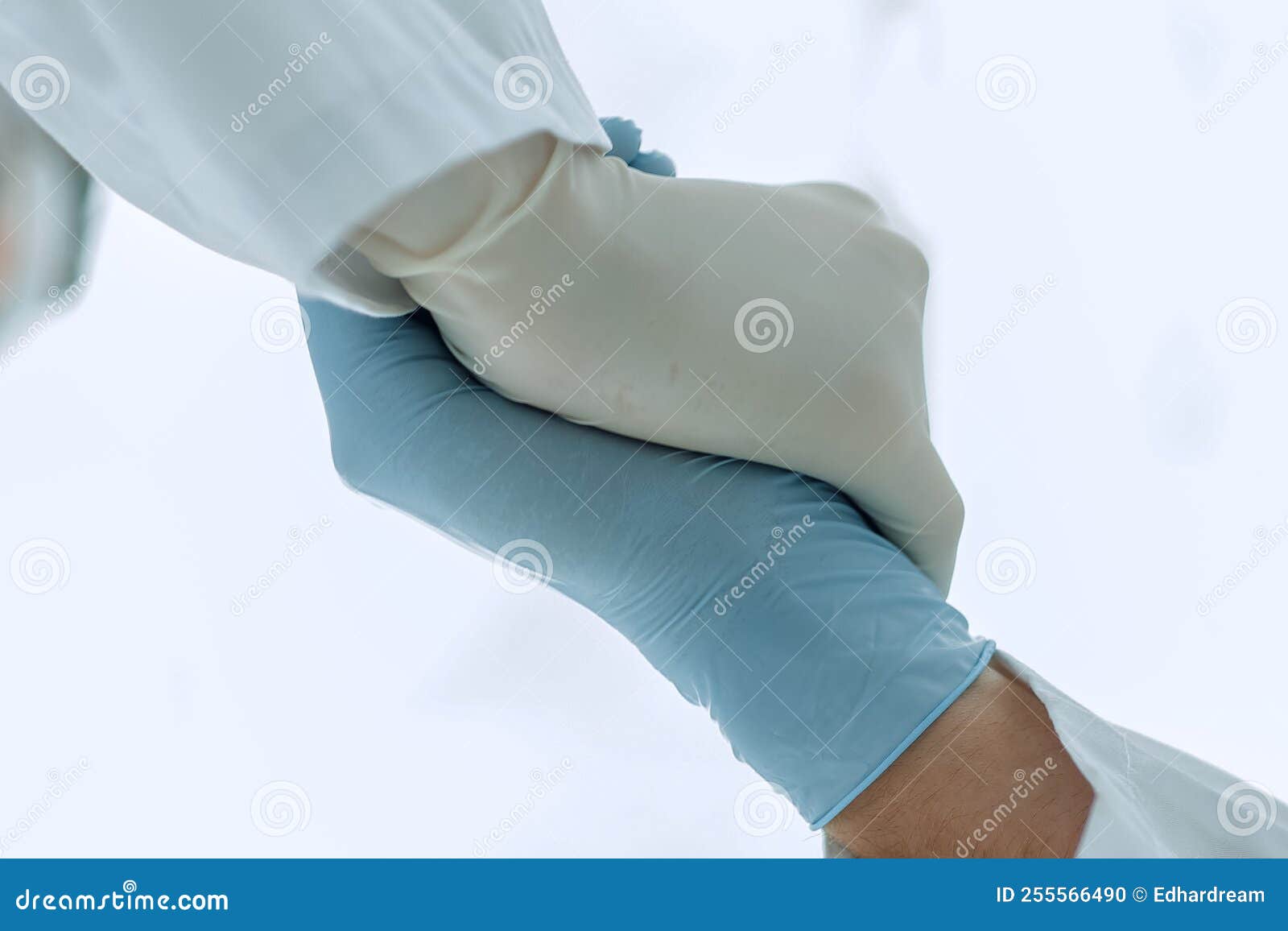Two Scientist Shake Hands after Test Completed Stock Photo - Image of ...
