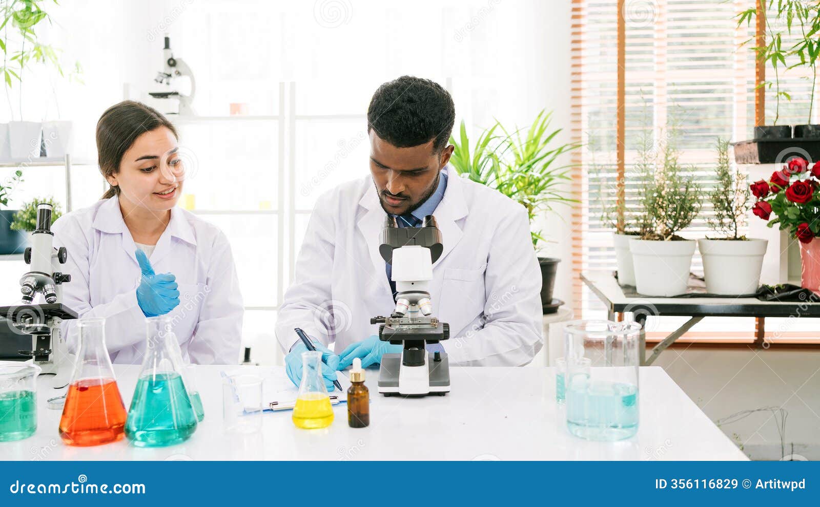 Two Scientists Collaborate in a Bright Lab, Using a Microscope and ...