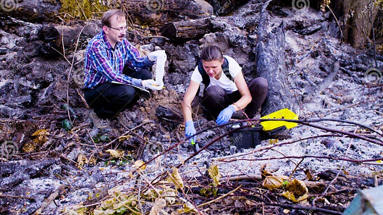 Two Scientists Ecologists Working on Place Where the Forest Burned Down ... Two Scientists Ecologists Working on Place Where the Forest Burned Down ...