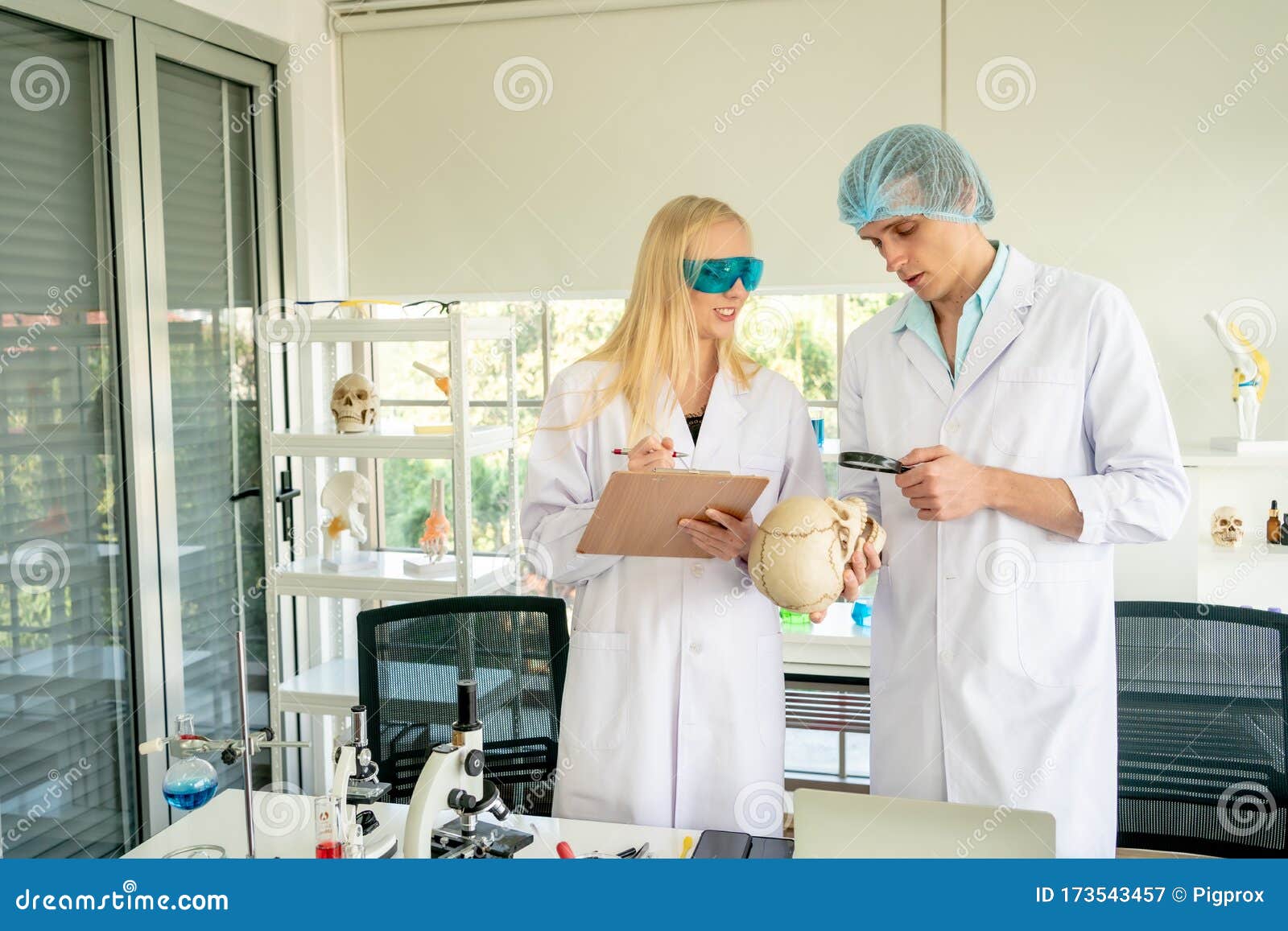 Two Scientists are Examining the Skull in the Laboratory Stock Image ...