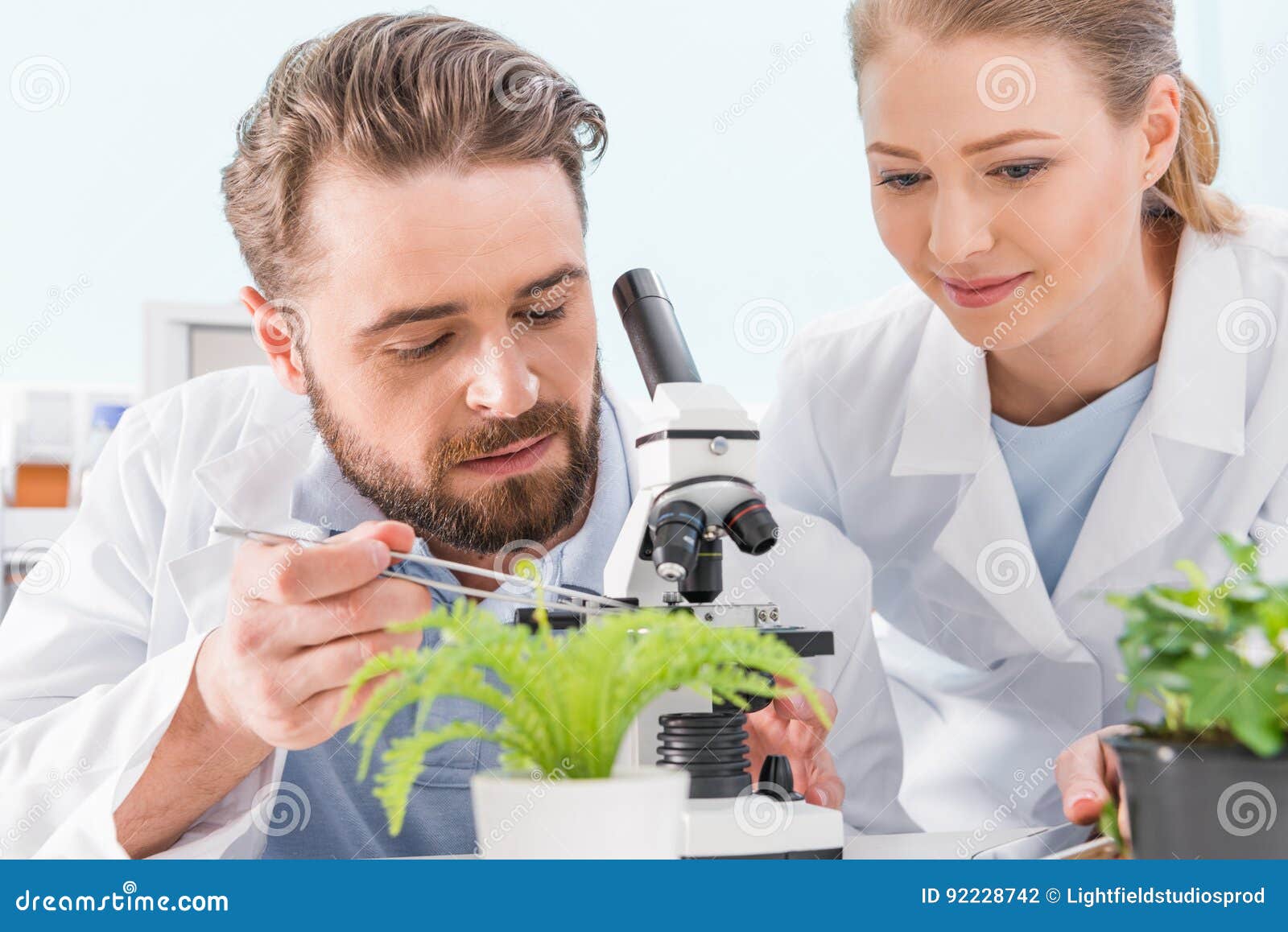 Two Scientists Working Together with Tweezers and Microscope Stock ...