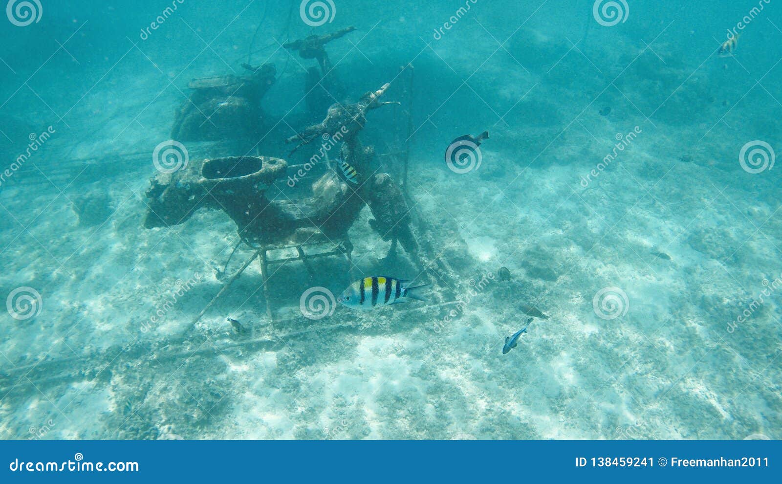 Two Scooter Covered with Rust on the Bottom of the Ocean and Fish ...