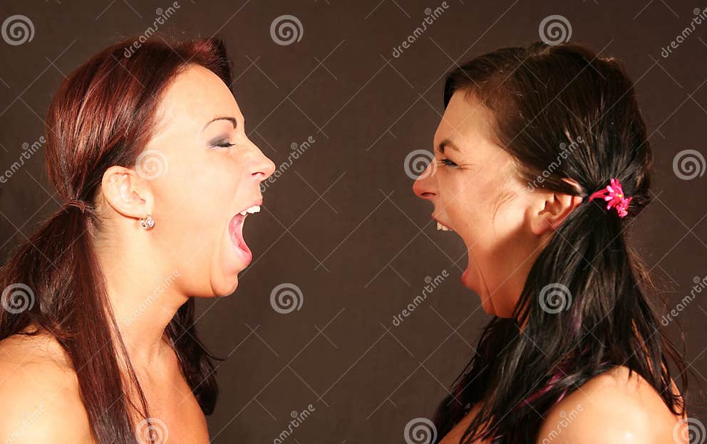Two screaming women stock image. Image of hair, expressive - 4051451