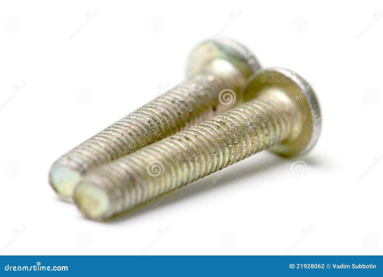Two screws stock photo. Image of stainless, bronze, iron - 21928062
