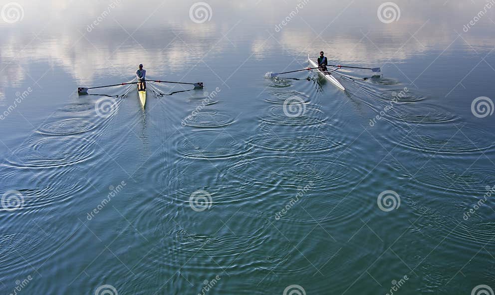 Two Scull Rowing Competitor, Rowing Race Stock Photo - Image of ...