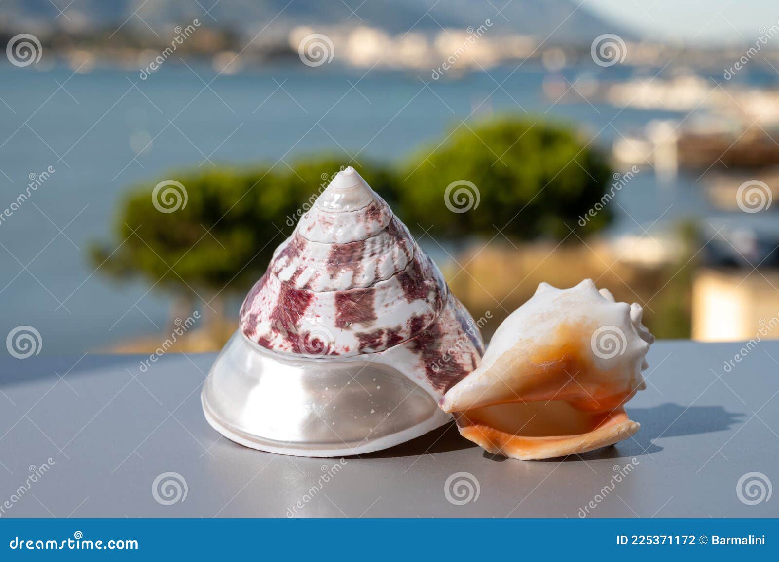 Two Sea Shells with Sea Harbour on Background Stock Photo - Image of ...