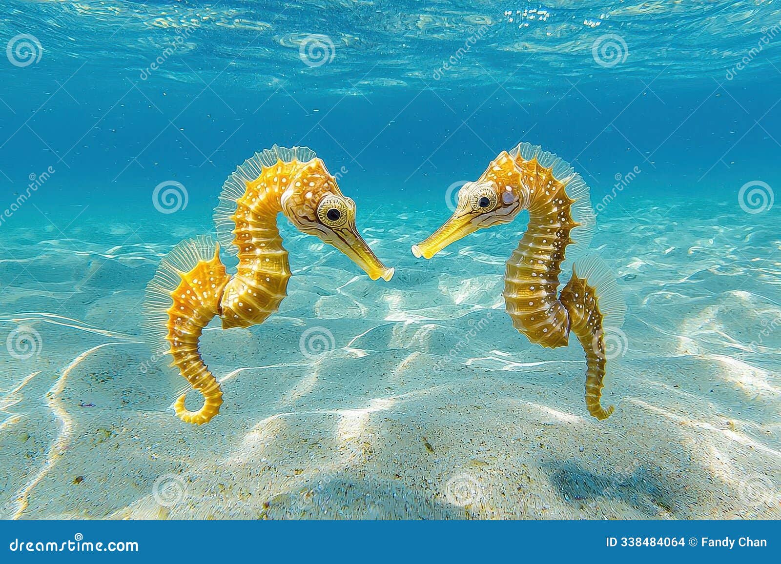 Shallow Water Icon Dive Hit Head Hazard Safety Injury Diving Vector ...